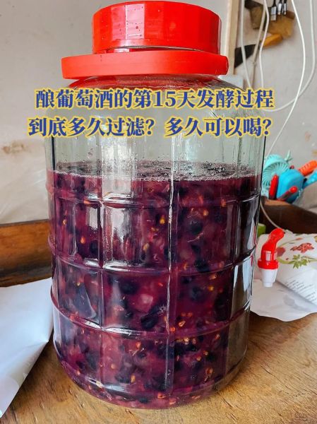 在家怎么做葡萄酒_自酿葡萄酒步骤-第3张图片-山城妙识