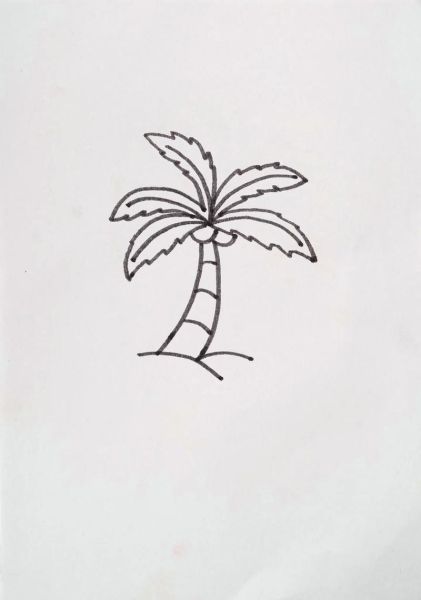 椰子树简笔画怎么画_椰子树简笔画图片大全-第1张图片-山城妙识 椰子树简笔画怎么画_椰子树简笔画图片大全-第1张图片-山城妙识