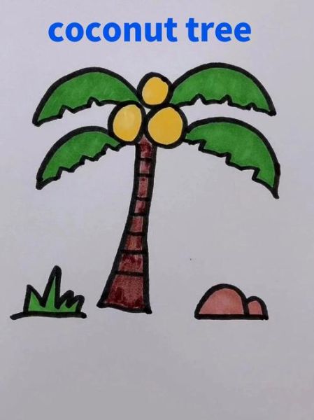 椰子树简笔画怎么画_椰子树简笔画图片大全-第2张图片-山城妙识 椰子树简笔画怎么画_椰子树简笔画图片大全-第2张图片-山城妙识