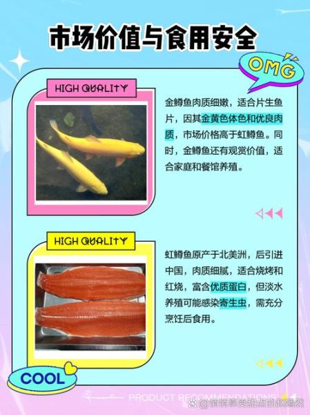 金鳟和虹鳟哪个好吃_口感差异与选购指南-第1张图片-山城妙识 金鳟和虹鳟哪个好吃_口感差异与选购指南-第1张图片-山城妙识