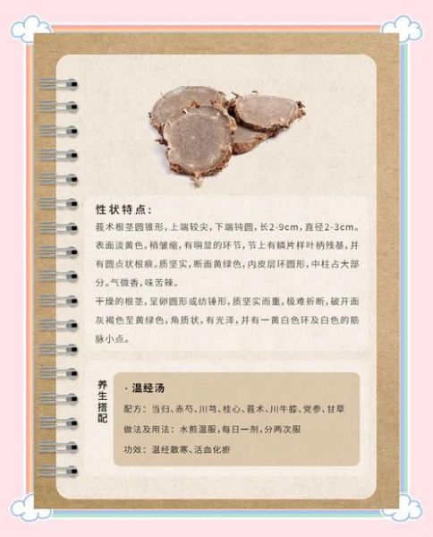 莪术的功效与作用_莪术能治疗哪些疾病-第1张图片-山城妙识 莪术的功效与作用_莪术能治疗哪些疾病-第1张图片-山城妙识