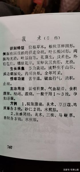 莪术的功效与作用_莪术能治疗哪些疾病-第2张图片-山城妙识 莪术的功效与作用_莪术能治疗哪些疾病-第2张图片-山城妙识