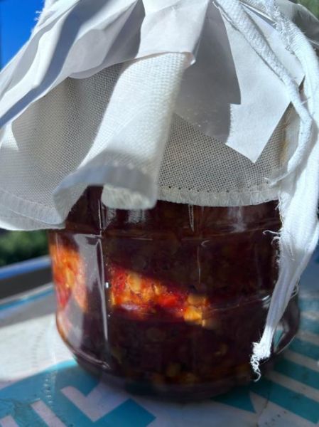 黄豆酱捂豆发霉怎么办_发霉黄豆酱还能吃吗-第2张图片-山城妙识 黄豆酱捂豆发霉怎么办_发霉黄豆酱还能吃吗-第2张图片-山城妙识