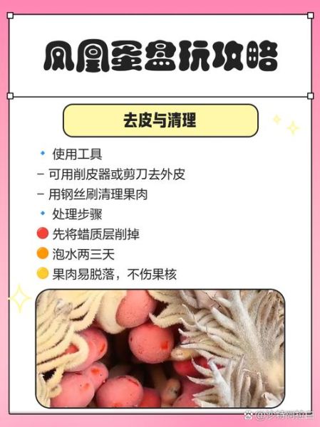 凤凰蛋草药的功效与作用_凤凰蛋草药怎么吃-第2张图片-山城妙识 凤凰蛋草药的功效与作用_凤凰蛋草药怎么吃-第2张图片-山城妙识