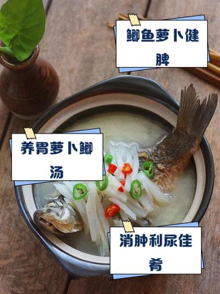鲫鱼白萝卜汤怎么做_鲫鱼白萝卜汤的功效-第1张图片-山城妙识 鲫鱼白萝卜汤怎么做_鲫鱼白萝卜汤的功效-第1张图片-山城妙识