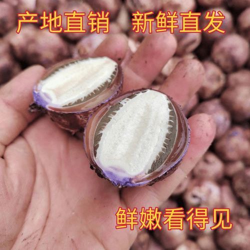 竹笋菌多少钱一斤_竹笋菌价格行情-第3张图片-山城妙识