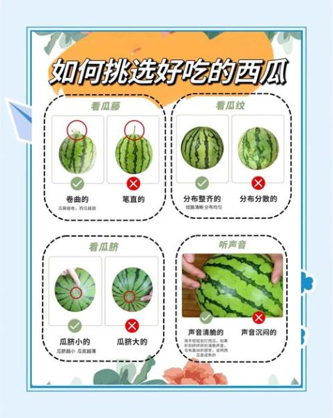 西瓜怎么挑才甜_西瓜挑选技巧图解-第3张图片-山城妙识 西瓜怎么挑才甜_西瓜挑选技巧图解-第3张图片-山城妙识