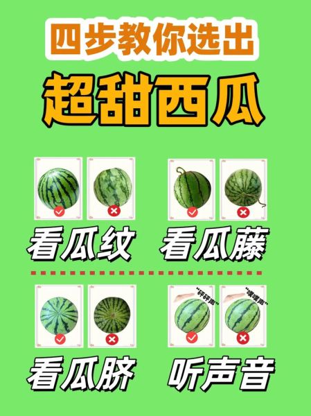 西瓜怎么挑才甜_西瓜挑选技巧图解-第2张图片-山城妙识 西瓜怎么挑才甜_西瓜挑选技巧图解-第2张图片-山城妙识