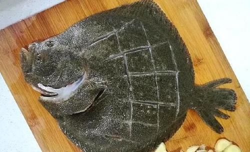 多宝鱼怎么清理_多宝鱼内脏怎么去除-第3张图片-山城妙识 多宝鱼怎么清理_多宝鱼内脏怎么去除-第3张图片-山城妙识