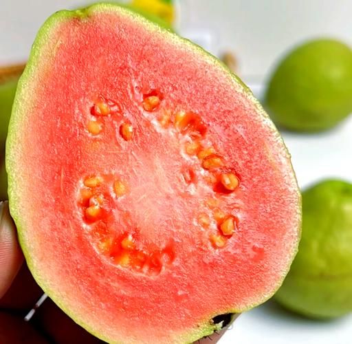 芭乐是什么水果_芭乐怎么吃才好吃-第1张图片-山城妙识 芭乐是什么水果_芭乐怎么吃才好吃-第1张图片-山城妙识