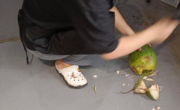 穿椰子的人真恶心_为什么讨厌穿椰子的人-第2张图片-山城妙识 穿椰子的人真恶心_为什么讨厌穿椰子的人-第2张图片-山城妙识