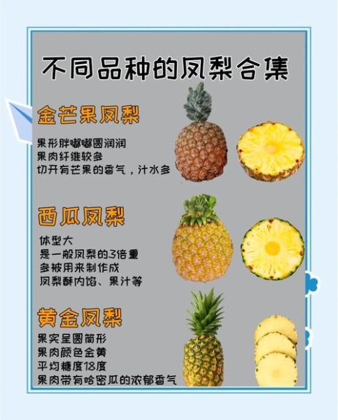 凤梨的功效与作用及禁忌_凤梨吃多了会上火吗-第2张图片-山城妙识