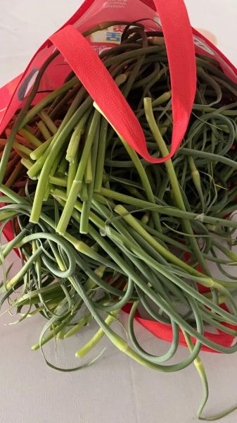 蒜苔怎么保存时间长_蒜苔图片怎么拍好看-第1张图片-山城妙识