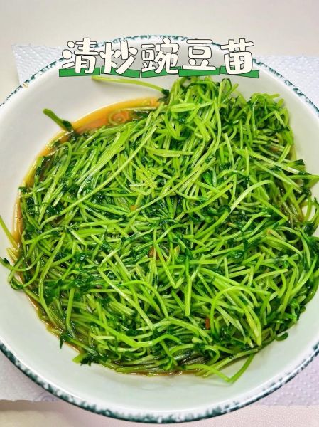 清炒豆苗怎么做_清炒豆苗需要焯水吗-第1张图片-山城妙识 清炒豆苗怎么做_清炒豆苗需要焯水吗-第1张图片-山城妙识