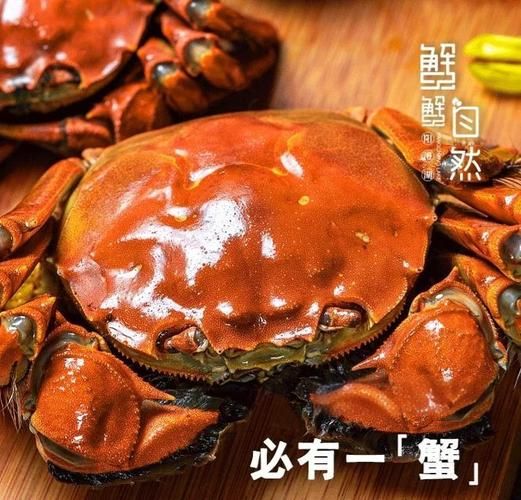 阳澄湖大闸蟹怎么煮_阳澄湖大闸蟹煮多久-第1张图片-山城妙识 阳澄湖大闸蟹怎么煮_阳澄湖大闸蟹煮多久-第1张图片-山城妙识