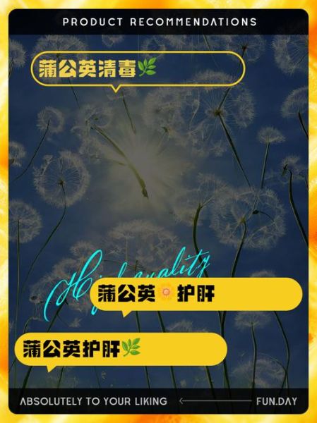 蒲公英对肝脏的损害_蒲公英伤肝是真的吗-第2张图片-山城妙识 蒲公英对肝脏的损害_蒲公英伤肝是真的吗-第2张图片-山城妙识