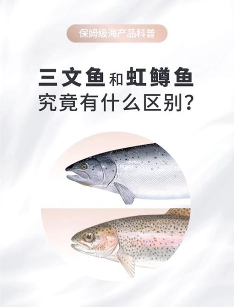 鲑鱼图片大全_如何区分三文鱼与虹鳟-第2张图片-山城妙识 鲑鱼图片大全_如何区分三文鱼与虹鳟-第2张图片-山城妙识