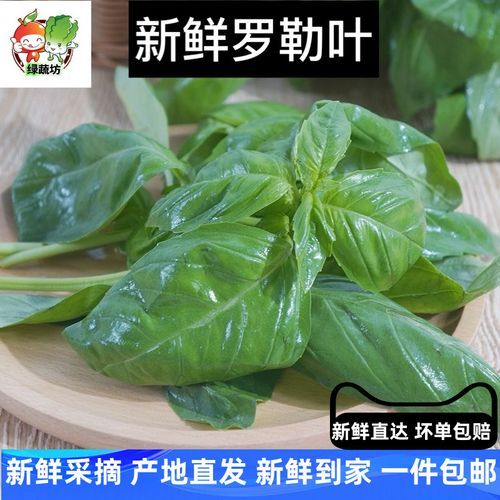 新鲜罗勒叶怎么吃_罗勒叶的做法大全-第2张图片-山城妙识