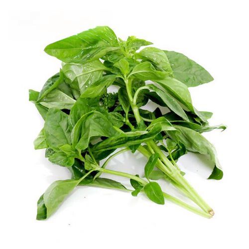 新鲜罗勒叶怎么吃_罗勒叶的做法大全-第1张图片-山城妙识