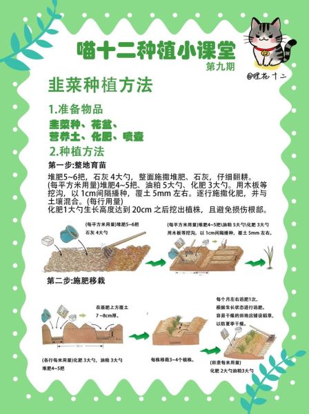 韭菜怎么种_韭菜种植视频教程-第2张图片-山城妙识 韭菜怎么种_韭菜种植视频教程-第2张图片-山城妙识