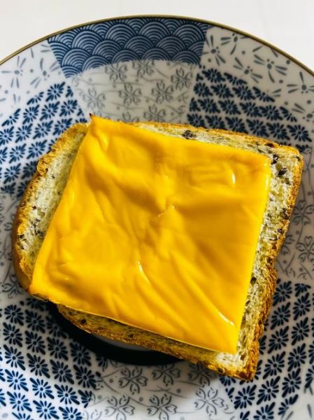 芝士片需要加热吗_芝士片怎么吃最好吃-第2张图片-山城妙识 芝士片需要加热吗_芝士片怎么吃最好吃-第2张图片-山城妙识