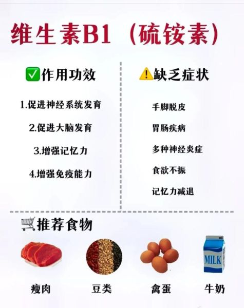 维生素b族的作用和副作用_维生素b族什么时候吃最好-第1张图片-山城妙识 维生素b族的作用和副作用_维生素b族什么时候吃最好-第1张图片-山城妙识