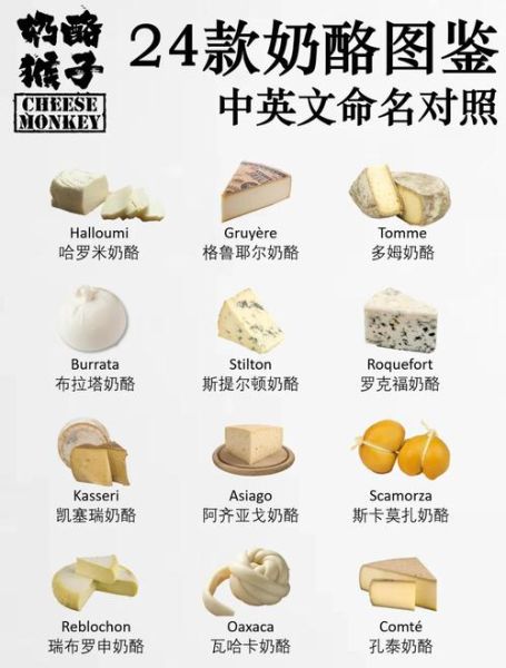 芝士是不是奶酪_芝士和奶酪区别-第3张图片-山城妙识 芝士是不是奶酪_芝士和奶酪区别-第3张图片-山城妙识