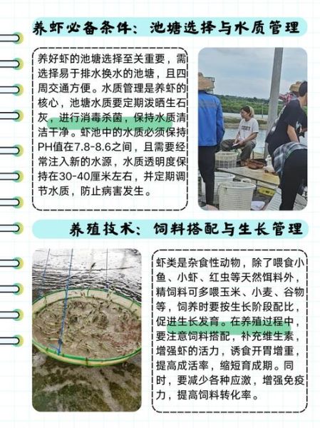 草虾养殖需要什么条件_草虾养殖水质要求-第2张图片-山城妙识 草虾养殖需要什么条件_草虾养殖水质要求-第2张图片-山城妙识