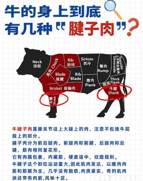 腱子肉什么意思_腱子肉是哪个部位-第2张图片-山城妙识 腱子肉什么意思_腱子肉是哪个部位-第2张图片-山城妙识