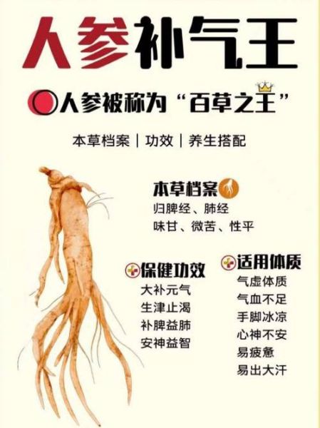 人参的正确吃法与功效_人参怎么吃效果最好-第3张图片-山城妙识 人参的正确吃法与功效_人参怎么吃效果最好-第3张图片-山城妙识