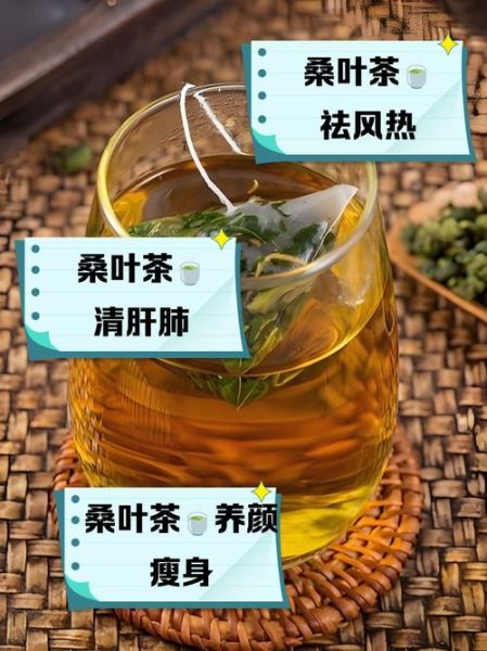 桑叶泡水喝有什么功效_桑叶茶能降血糖吗-第3张图片-山城妙识 桑叶泡水喝有什么功效_桑叶茶能降血糖吗-第3张图片-山城妙识
