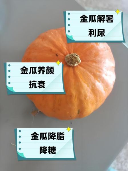 金丝瓜的功效与作用_金丝瓜怎么吃最好-第3张图片-山城妙识 金丝瓜的功效与作用_金丝瓜怎么吃最好-第3张图片-山城妙识