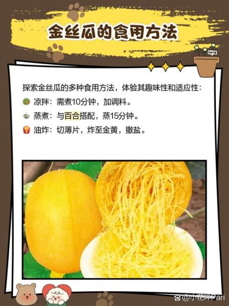 金丝瓜的功效与作用_金丝瓜怎么吃最好-第2张图片-山城妙识 金丝瓜的功效与作用_金丝瓜怎么吃最好-第2张图片-山城妙识