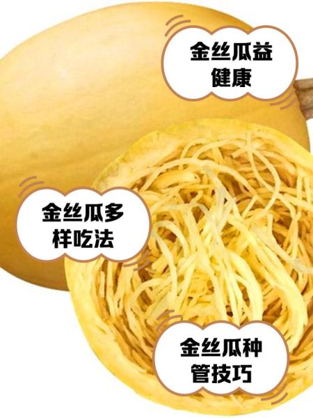 金丝瓜的功效与作用_金丝瓜怎么吃最好-第1张图片-山城妙识 金丝瓜的功效与作用_金丝瓜怎么吃最好-第1张图片-山城妙识