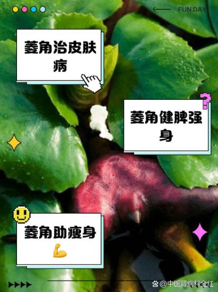 女人吃菱角的好处有哪些_菱角对女性有哪些功效-第1张图片-山城妙识 女人吃菱角的好处有哪些_菱角对女性有哪些功效-第1张图片-山城妙识