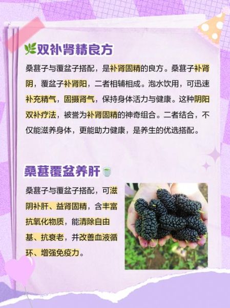 桑葚功效作用与主治_桑葚怎么吃效果最好-第2张图片-山城妙识 桑葚功效作用与主治_桑葚怎么吃效果最好-第2张图片-山城妙识