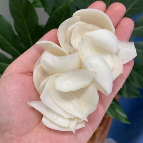 新鲜百合怎么吃最有营养_新鲜百合怎么吃最健康-第3张图片-山城妙识 新鲜百合怎么吃最有营养_新鲜百合怎么吃最健康-第3张图片-山城妙识