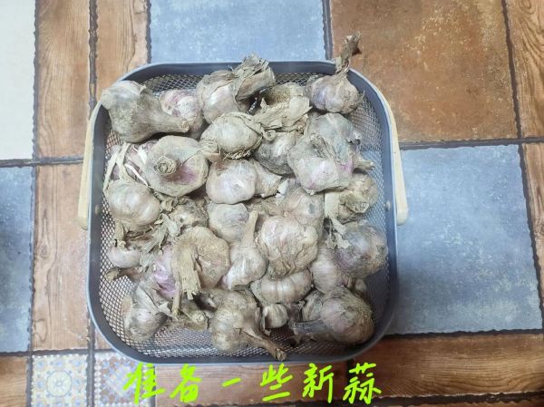 酱油糖蒜怎么腌制_家常糖蒜做法-第1张图片-山城妙识 酱油糖蒜怎么腌制_家常糖蒜做法-第1张图片-山城妙识