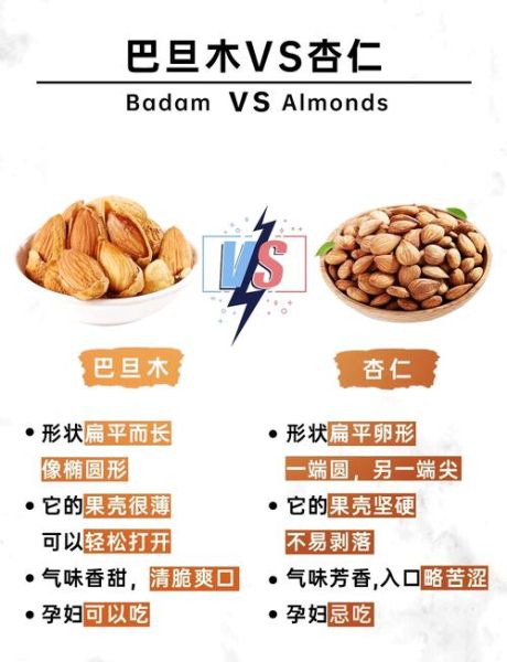 美国大杏仁和巴旦木一样吗_营养价值区别-第3张图片-山城妙识 美国大杏仁和巴旦木一样吗_营养价值区别-第3张图片-山城妙识