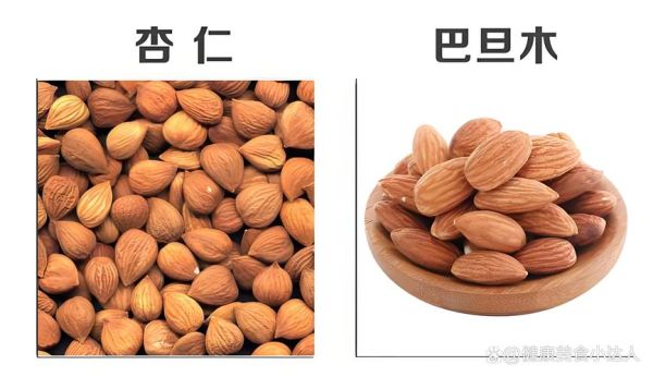 美国大杏仁和巴旦木一样吗_营养价值区别-第1张图片-山城妙识 美国大杏仁和巴旦木一样吗_营养价值区别-第1张图片-山城妙识