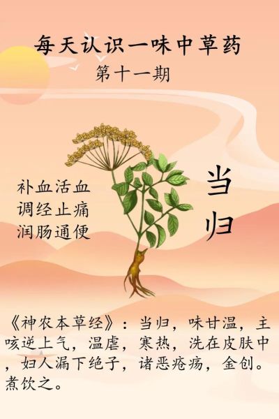 当归丸的功效与作用_当归丸的禁忌有哪些-第2张图片-山城妙识 当归丸的功效与作用_当归丸的禁忌有哪些-第2张图片-山城妙识