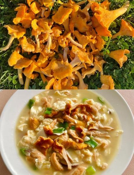 蘑菇鸡蛋汤怎么做_蘑菇鸡蛋汤的家常做法-第1张图片-山城妙识 蘑菇鸡蛋汤怎么做_蘑菇鸡蛋汤的家常做法-第1张图片-山城妙识