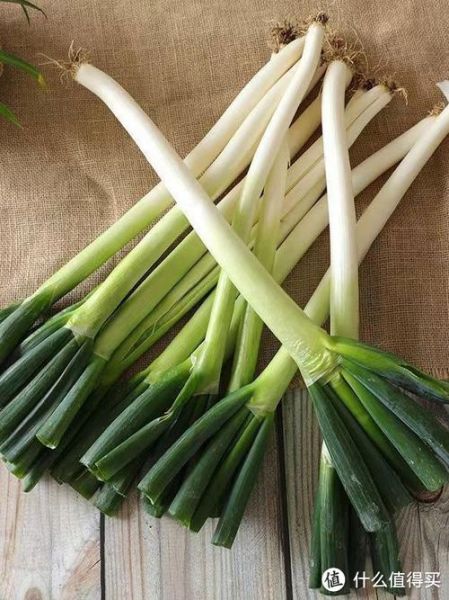大葱图片大全大图高清_如何挑选新鲜大葱-第3张图片-山城妙识 大葱图片大全大图高清_如何挑选新鲜大葱-第3张图片-山城妙识
