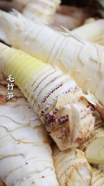 毛竹笋图片大全_毛竹笋怎么做好吃-第3张图片-山城妙识 毛竹笋图片大全_毛竹笋怎么做好吃-第3张图片-山城妙识