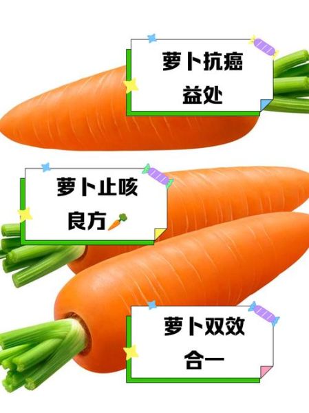 萝卜投资怎么样_萝卜投资风险大吗-第1张图片-山城妙识 萝卜投资怎么样_萝卜投资风险大吗-第1张图片-山城妙识