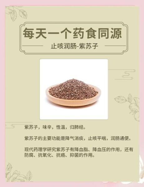 紫苏子能止咳吗_紫苏子怎么吃效果好-第1张图片-山城妙识 紫苏子能止咳吗_紫苏子怎么吃效果好-第1张图片-山城妙识