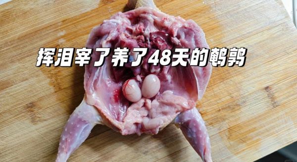 鹌鹑怎么做好吃_家常鹌鹑做法窍门-第1张图片-山城妙识 鹌鹑怎么做好吃_家常鹌鹑做法窍门-第1张图片-山城妙识