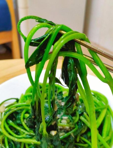 红薯叶图片大全_红薯叶怎么做好吃-第2张图片-山城妙识 红薯叶图片大全_红薯叶怎么做好吃-第2张图片-山城妙识