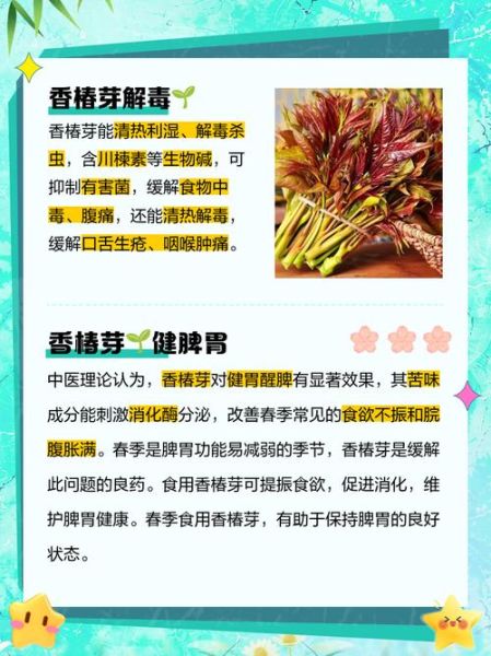 香椿芽的营养价值_香椿芽的药用价值-第1张图片-山城妙识 香椿芽的营养价值_香椿芽的药用价值-第1张图片-山城妙识