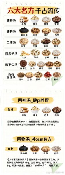 中医经典药膳大全_如何辨证选膳-第1张图片-山城妙识 中医经典药膳大全_如何辨证选膳-第1张图片-山城妙识